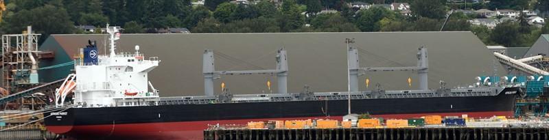 AFRICAN PARROT - Vesseljoin