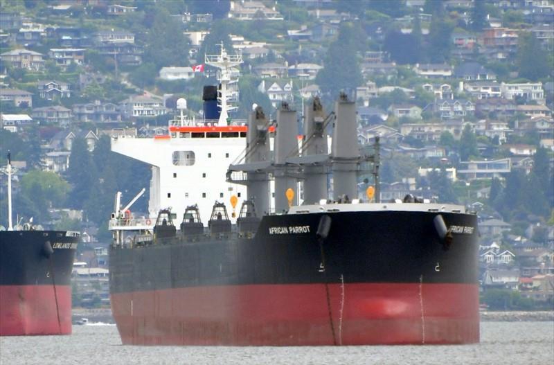 AFRICAN PARROT - Vesseljoin