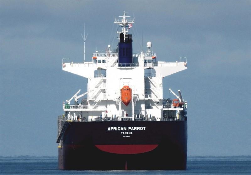 AFRICAN PARROT - Vesseljoin