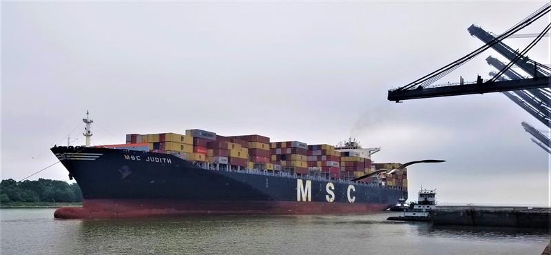 MSC JUDITH - Vesseljoin