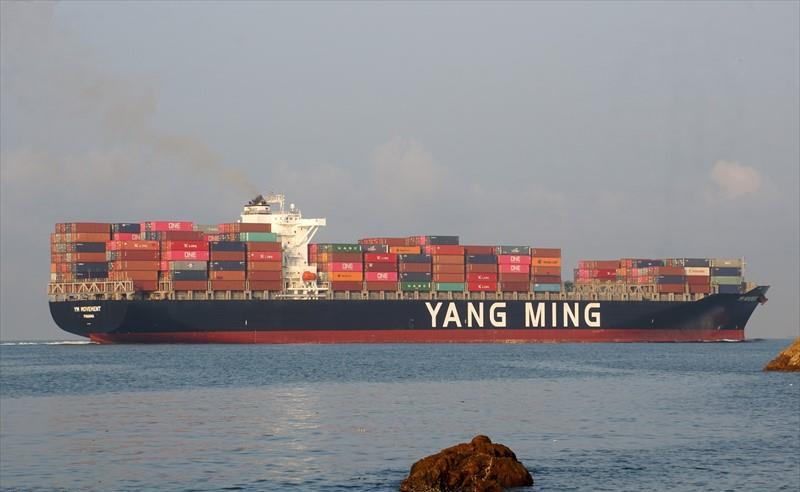 YM MOVEMENT - Vesseljoin