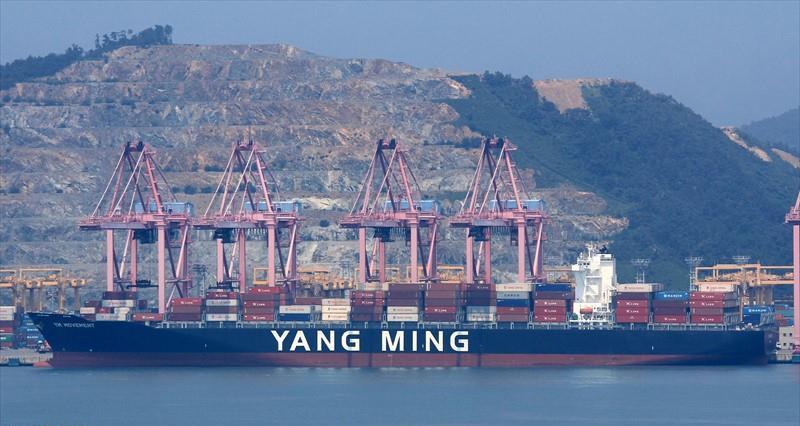 YM MOVEMENT - Vesseljoin