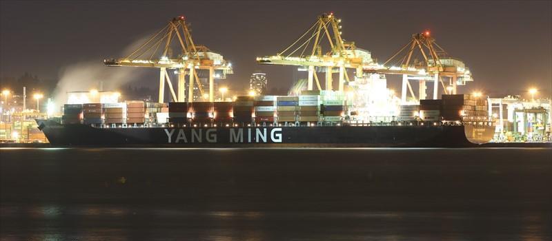 YM MOVEMENT - Vesseljoin