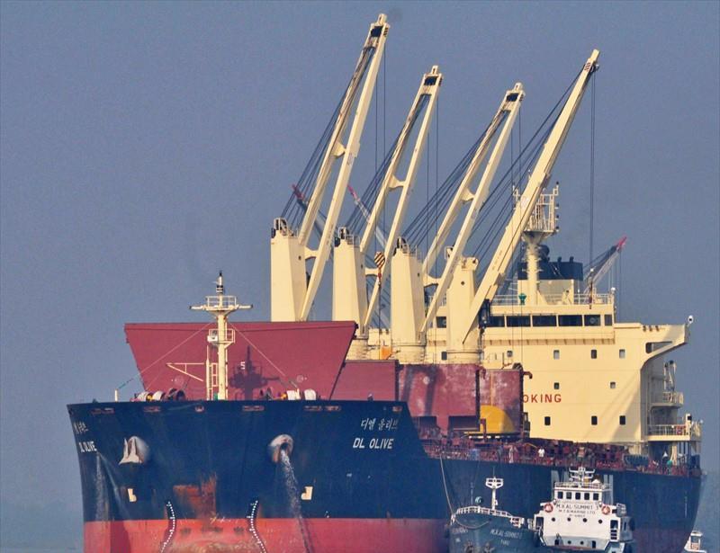 DL OLIVE - Vesseljoin