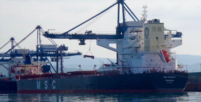 MSC MAGALI - Vesseljoin