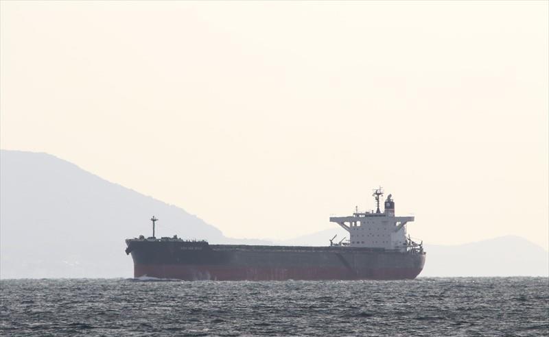 NBA VAN DYCK - Vesseljoin