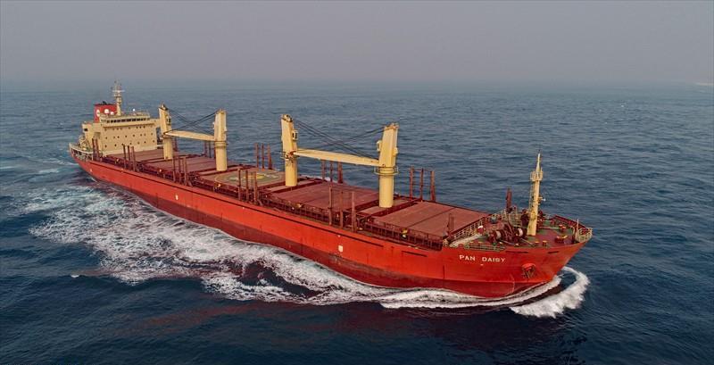 PAN DAISY - Vesseljoin