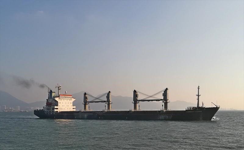 HARMONY SOURCE - Vesseljoin