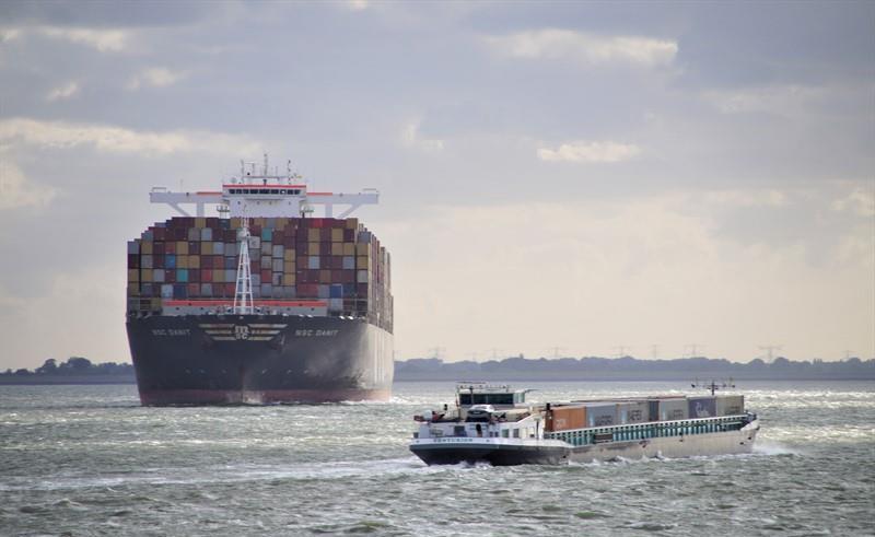 MSC DANIT - Vesseljoin