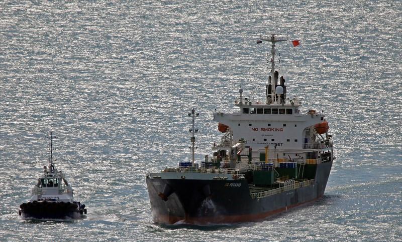 SG PEGASUS - Vesseljoin