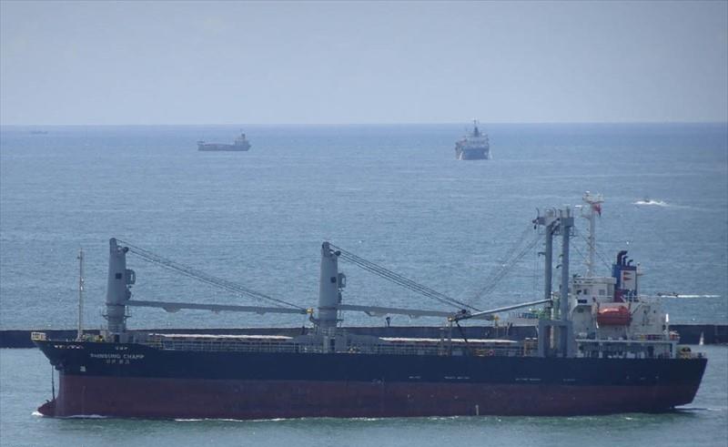 VW PEACE - Vesseljoin