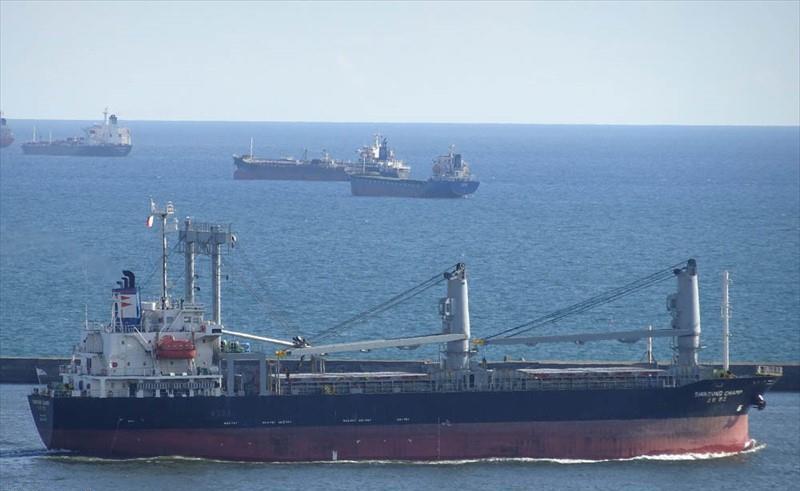 VW PEACE - Vesseljoin