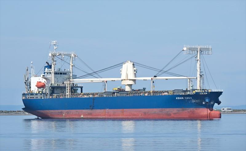 ASIAN NAGA - Vesseljoin