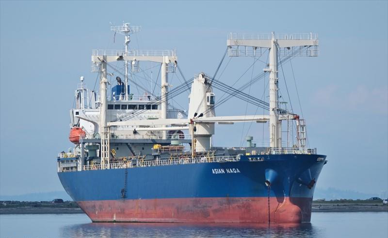 ASIAN NAGA - Vesseljoin