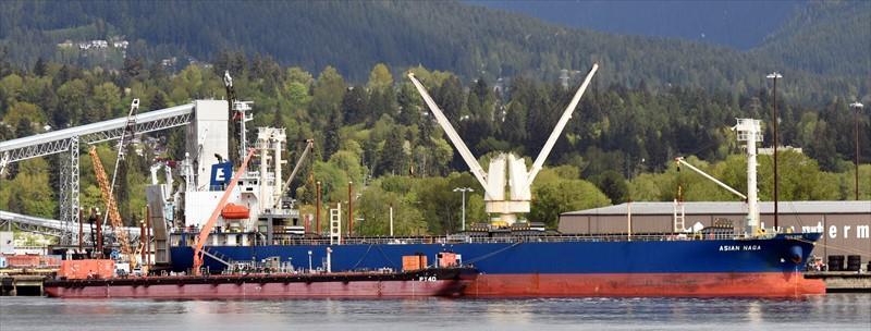 ASIAN NAGA - Vesseljoin