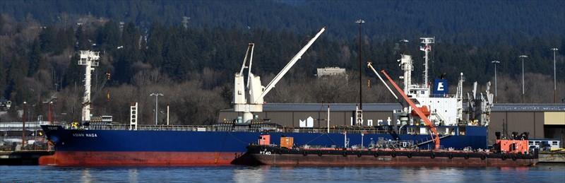 ASIAN NAGA - Vesseljoin