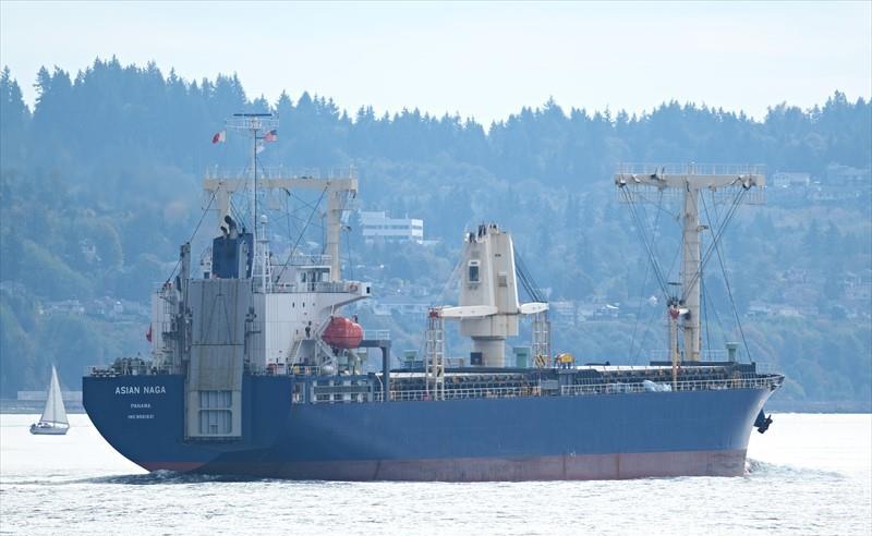 ASIAN NAGA - Vesseljoin