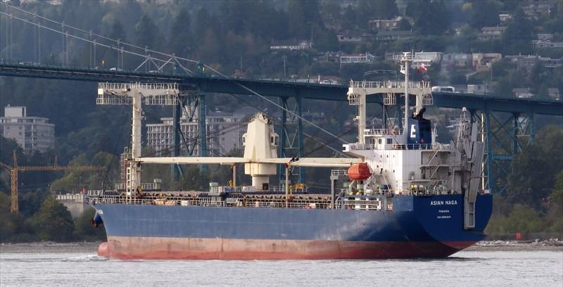 ASIAN NAGA - Vesseljoin