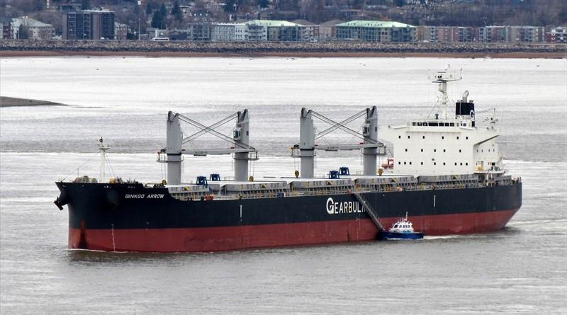 GINKGO ARROW - Vesseljoin