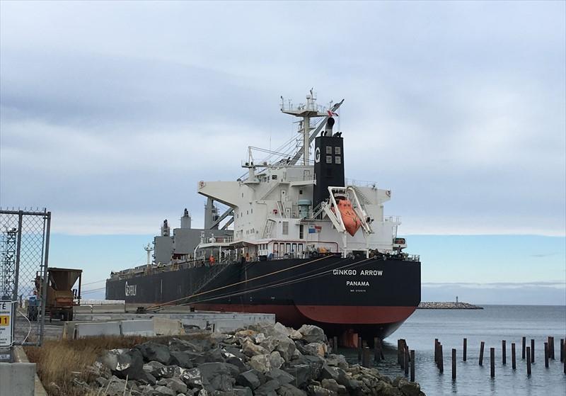 GINKGO ARROW - Vesseljoin