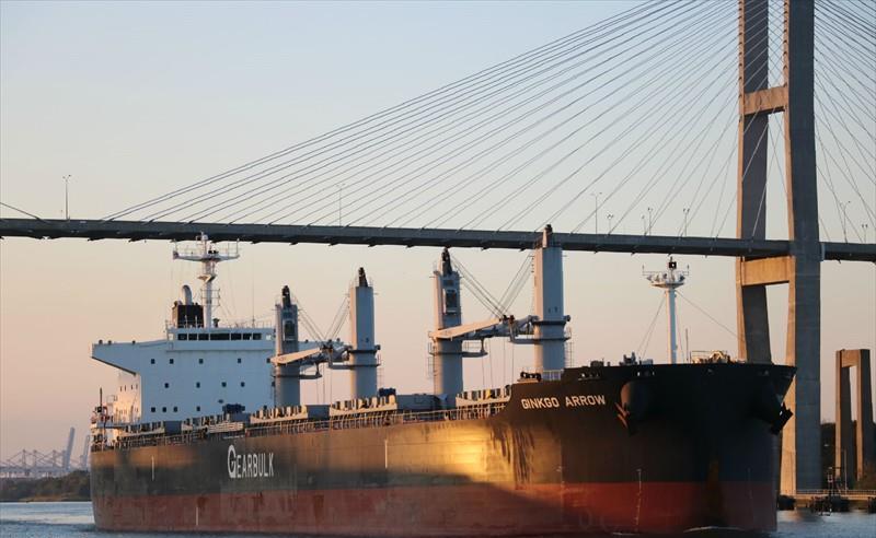 GINKGO ARROW - Vesseljoin