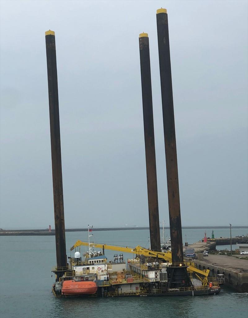 WHALE SHARK - Vesseljoin