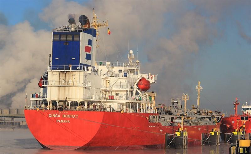 GINGA BOBCAT - Vesseljoin