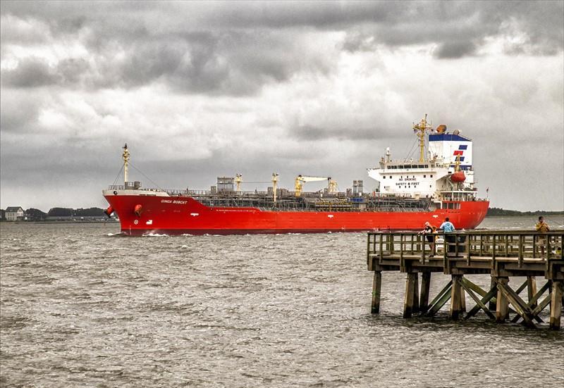 GINGA BOBCAT - Vesseljoin