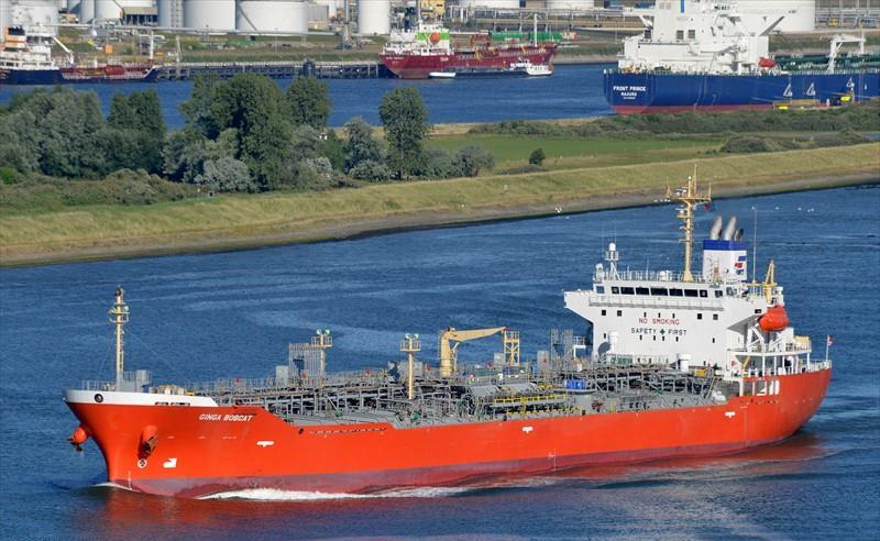 GINGA BOBCAT - Vesseljoin