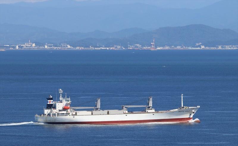 PACIFIC VIOLET - Vesseljoin