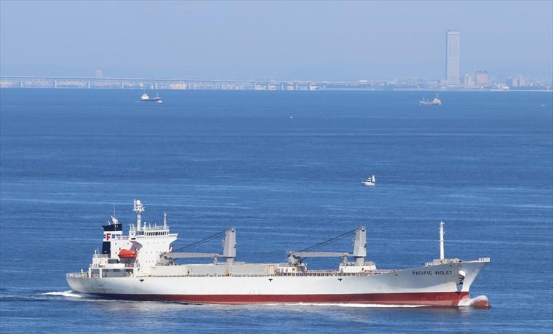 PACIFIC VIOLET (Reefer) - IMO: 9178654 | Vessel Details