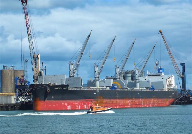 AMSTEL LION - Vesseljoin