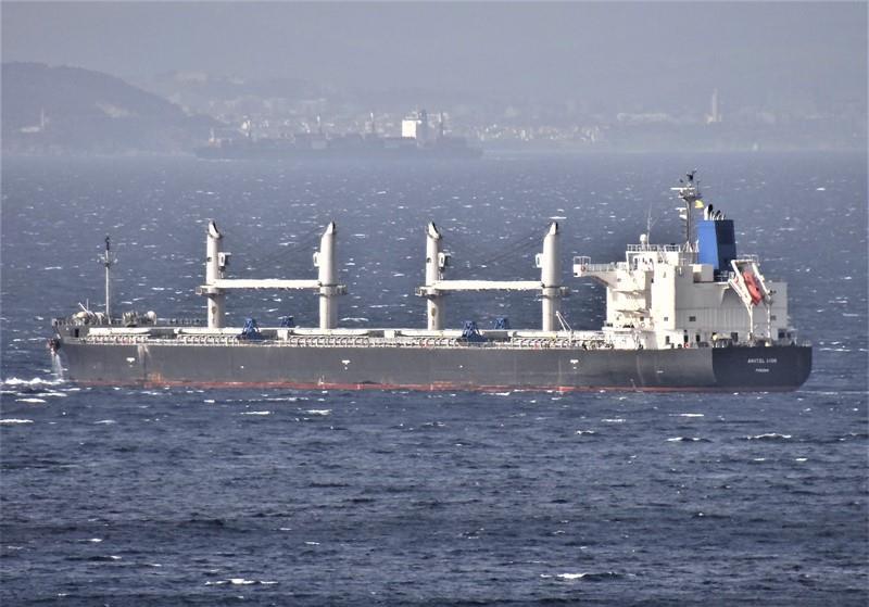 AMSTEL LION - Vesseljoin