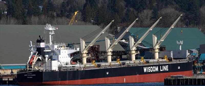 AMIS ELEGANCE - Vesseljoin