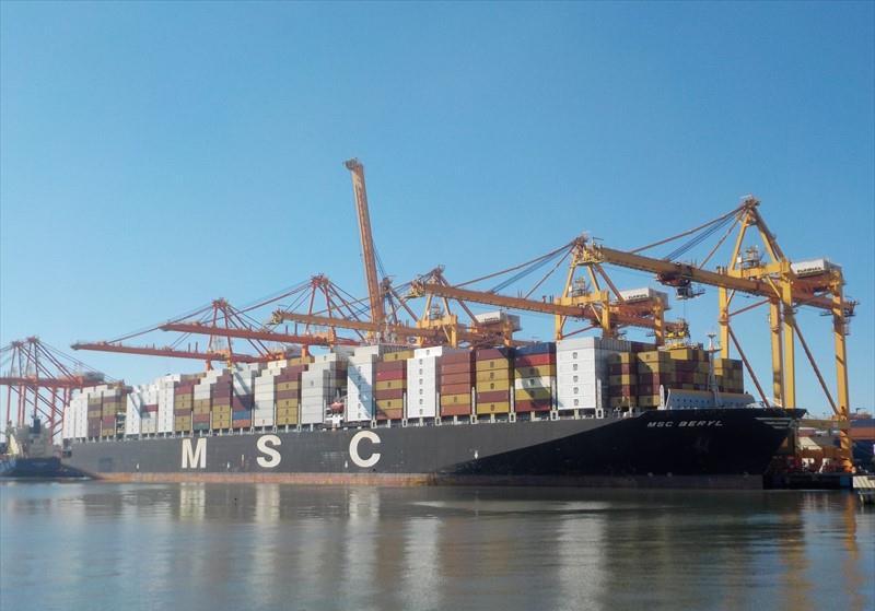 MSC BERYL - Vesseljoin