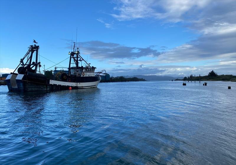 MISS SUE - Vesseljoin