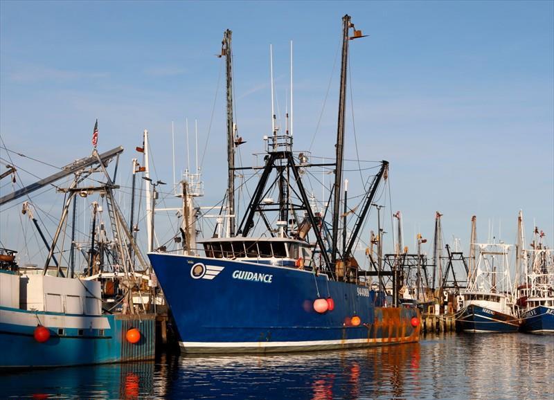 GUIDANCE - Vesseljoin