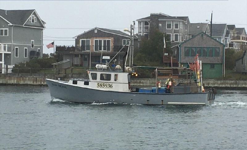 MAD MONK - Vesseljoin