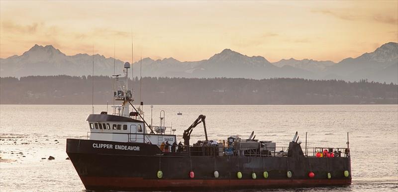 CLIPPER ENDEAVOR - Vesseljoin