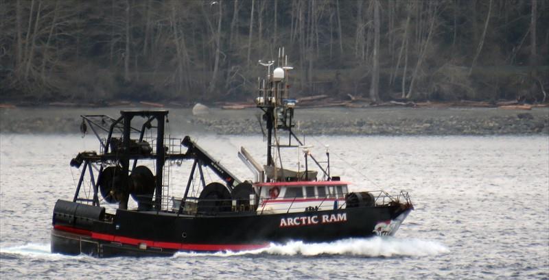 ARCTIC RAM - Vesseljoin