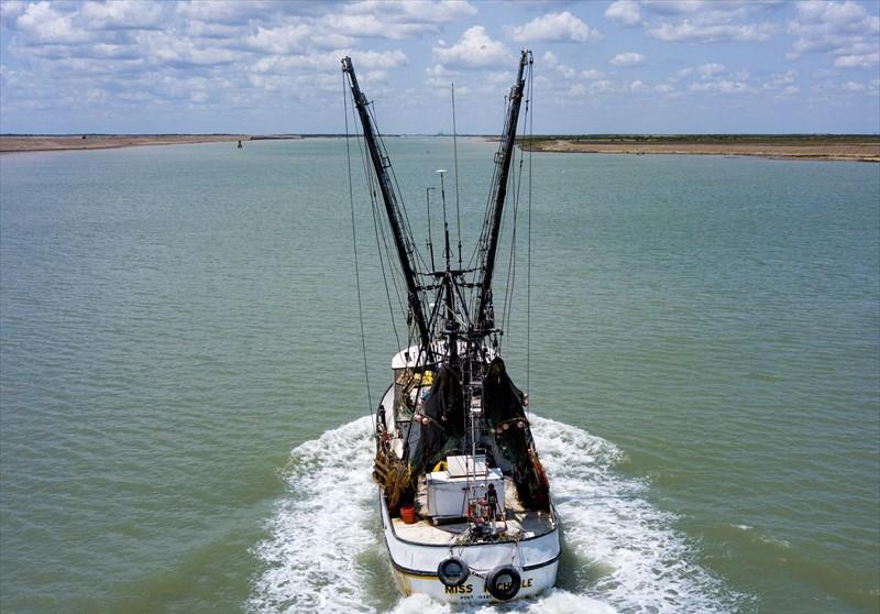 MISS MICHELLE - Vesseljoin