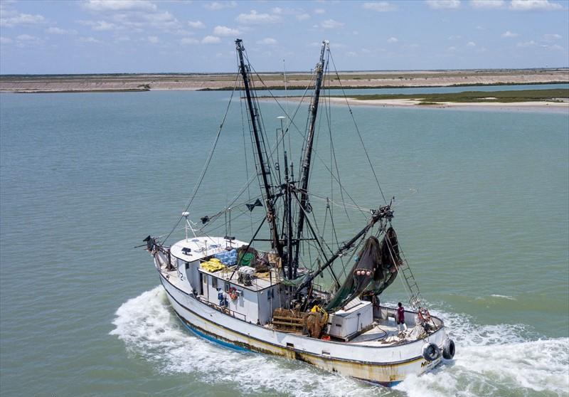 MISS MICHELLE - Vesseljoin