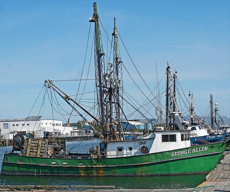 GEORGE ALLEN - Vesseljoin