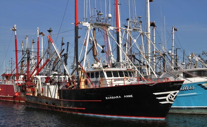 BARBARA ANNE - Vesseljoin