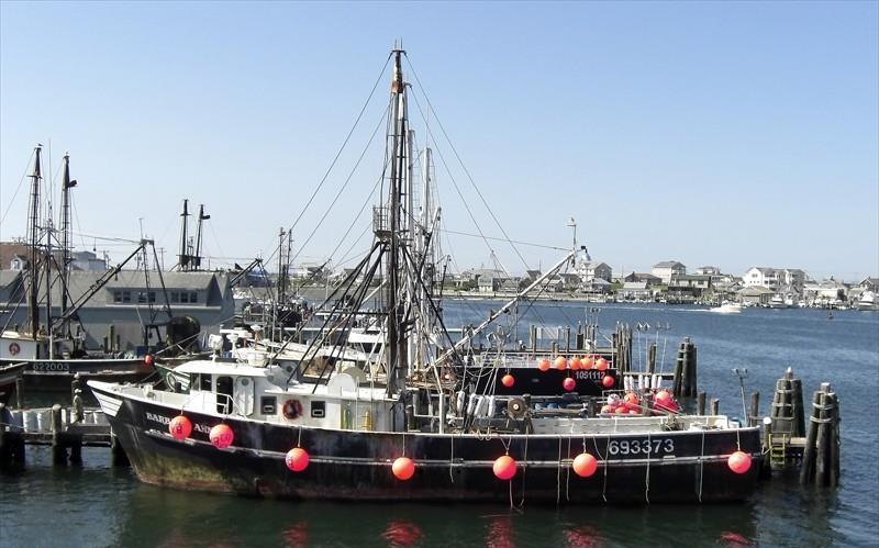 BARBARA ANNE - Vesseljoin