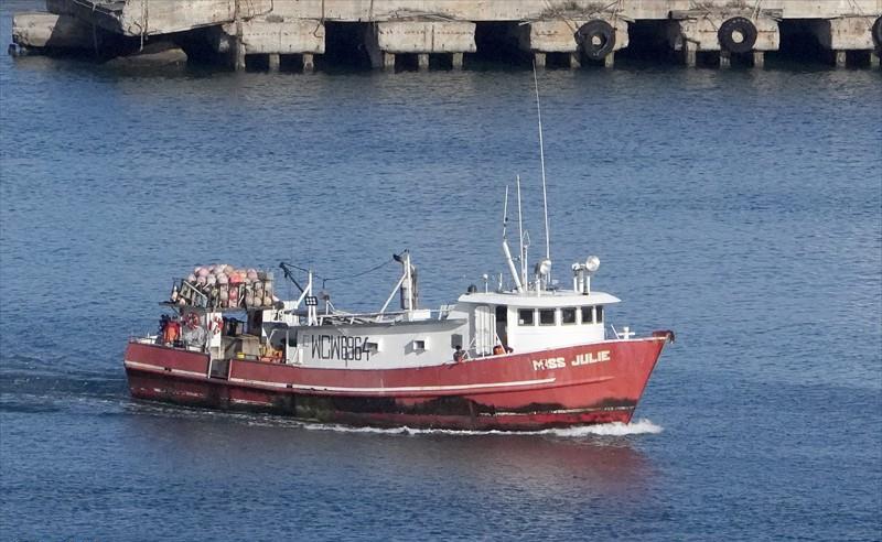 MISS JULIE - Vesseljoin