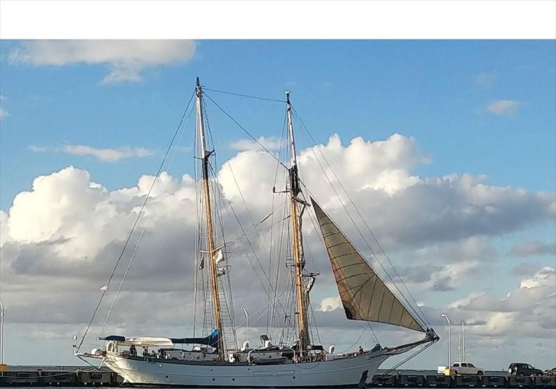 CORWITH CRAMER - Vesseljoin