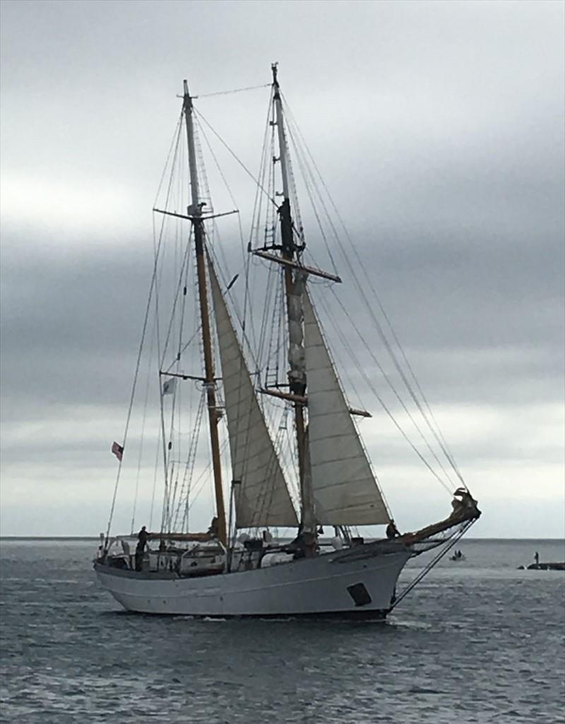 CORWITH CRAMER - Vesseljoin