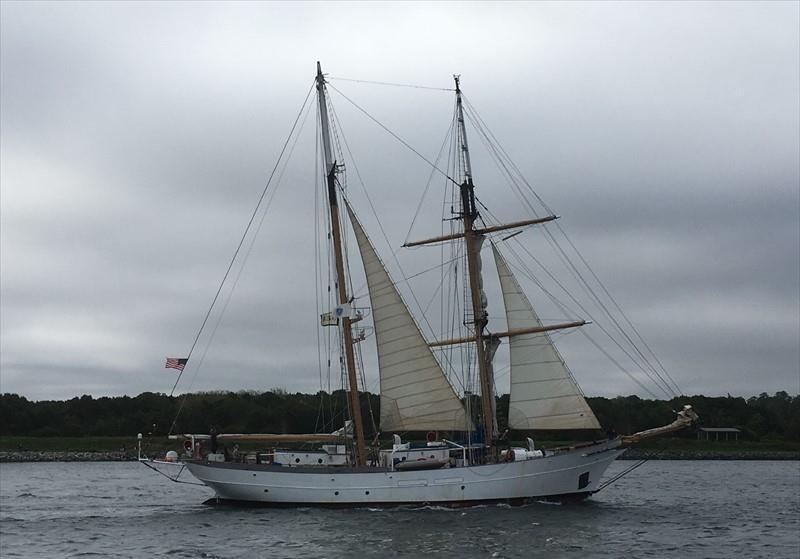 CORWITH CRAMER - Vesseljoin