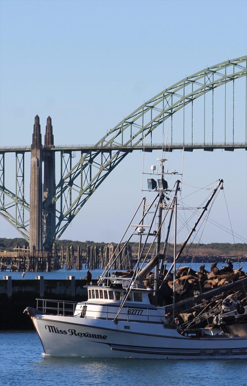 MISS ROXANNE - Vesseljoin